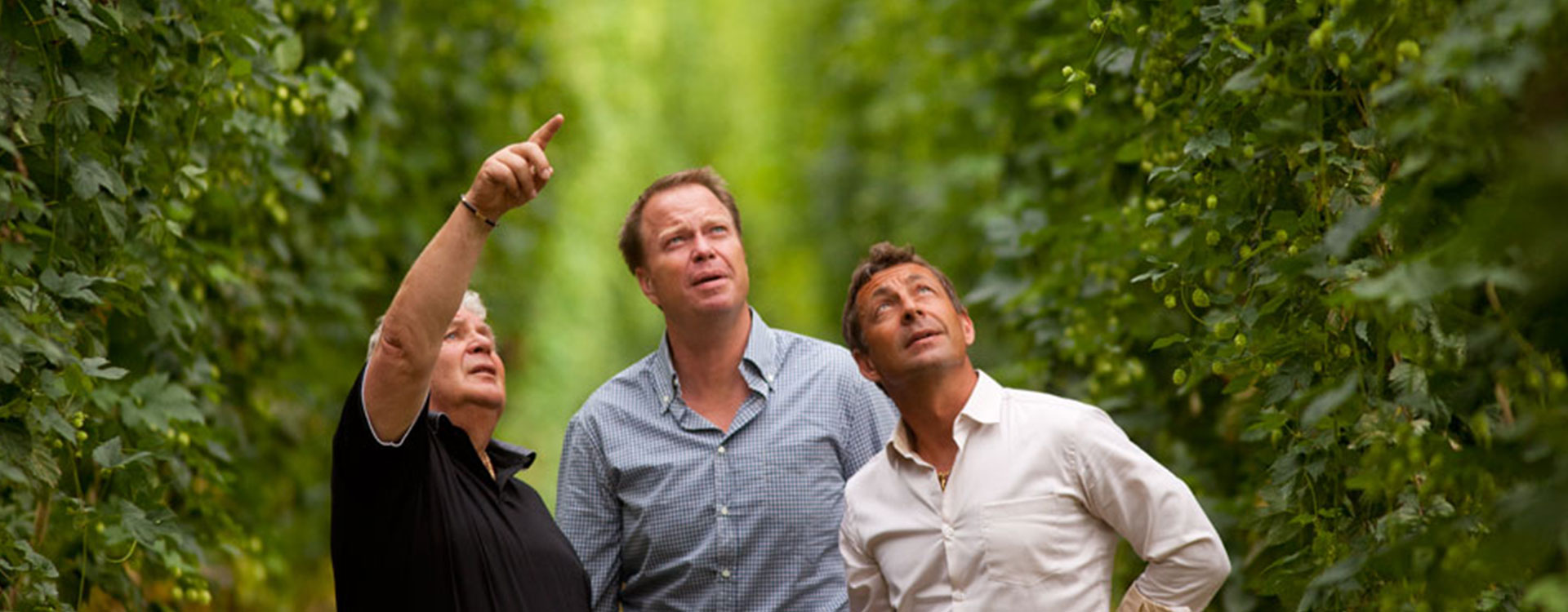 Uerige - Das Alt der Stadt - Home